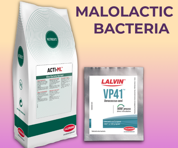 How to conduct a Malolactic fermentation (MLF) – MoreWine